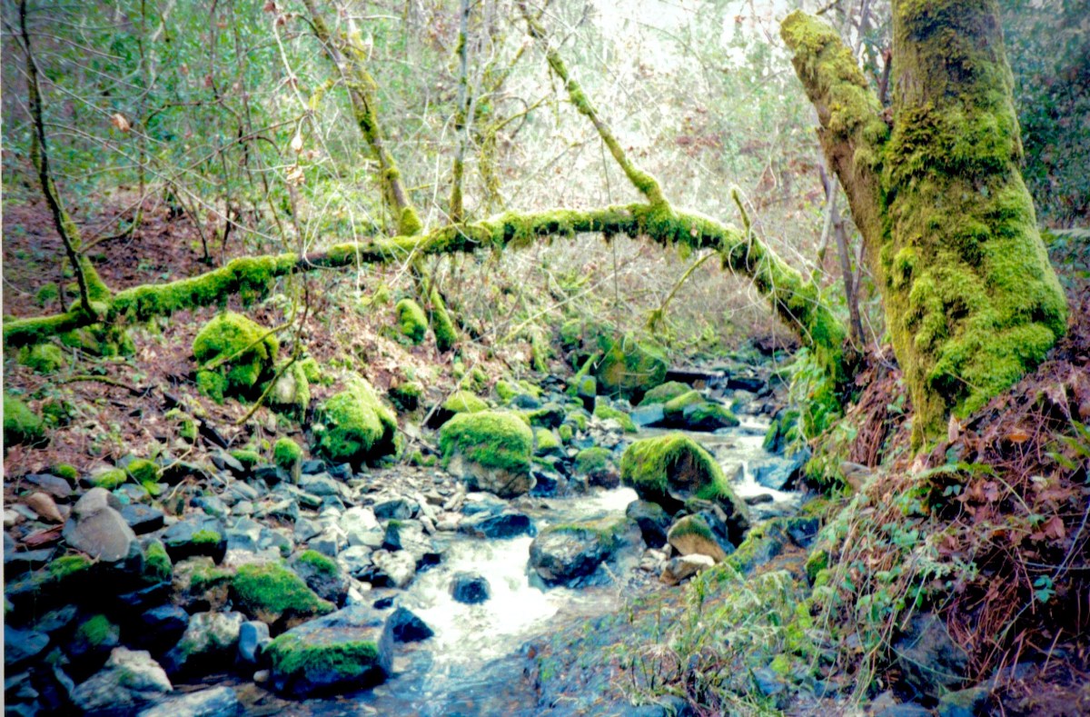 Sometimes There Are No Roads – Jay McCarl